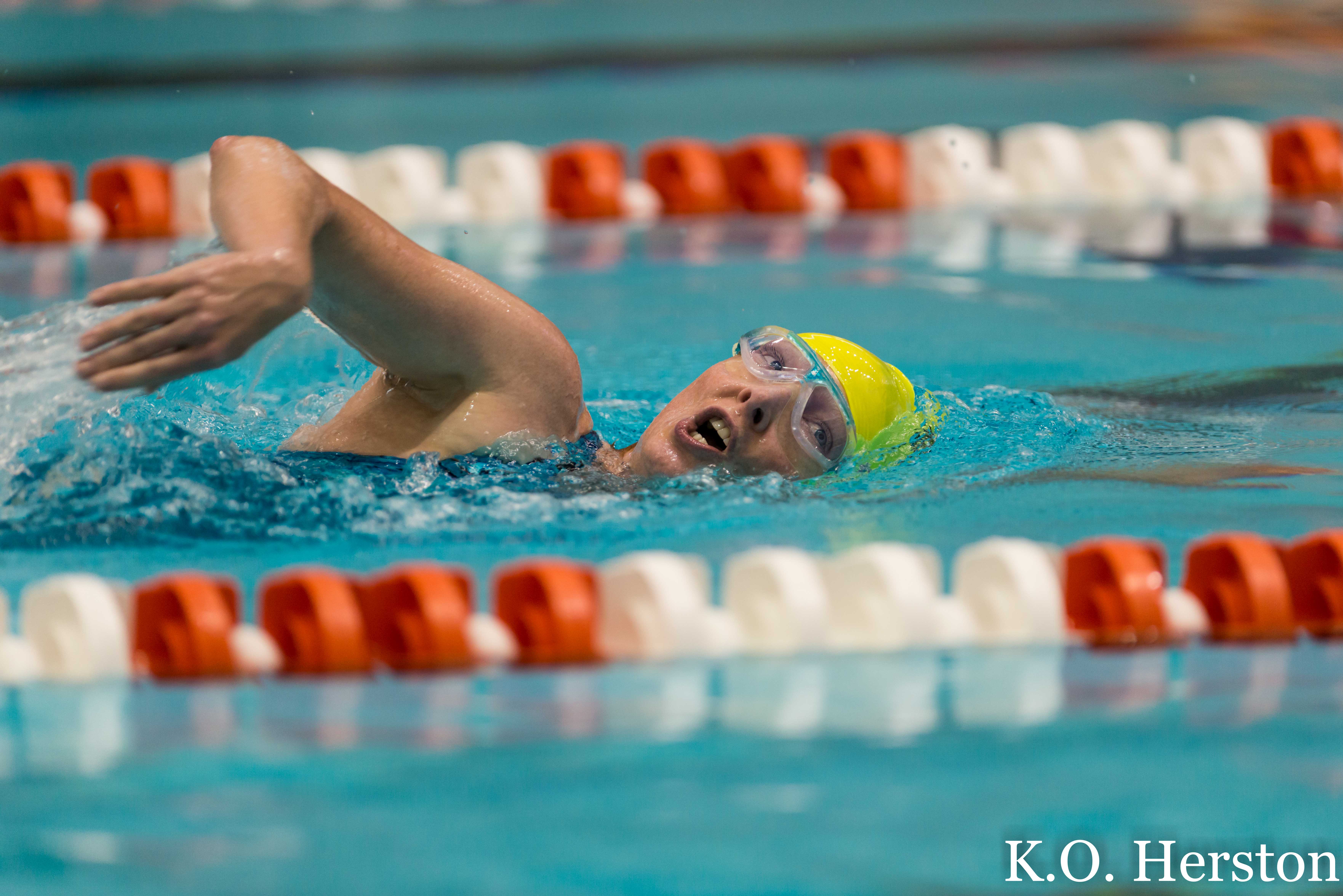 Photo of the Week: Swim Competition | Herston on Tennessee Family Law